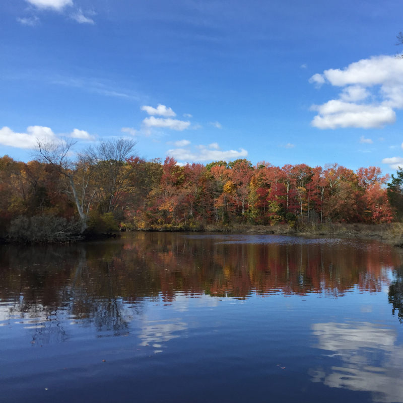 Natural Events Calendar - CU Maurice River