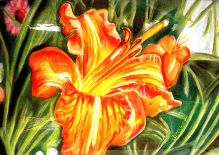 Gallery of Jost Scholars - CU Maurice River