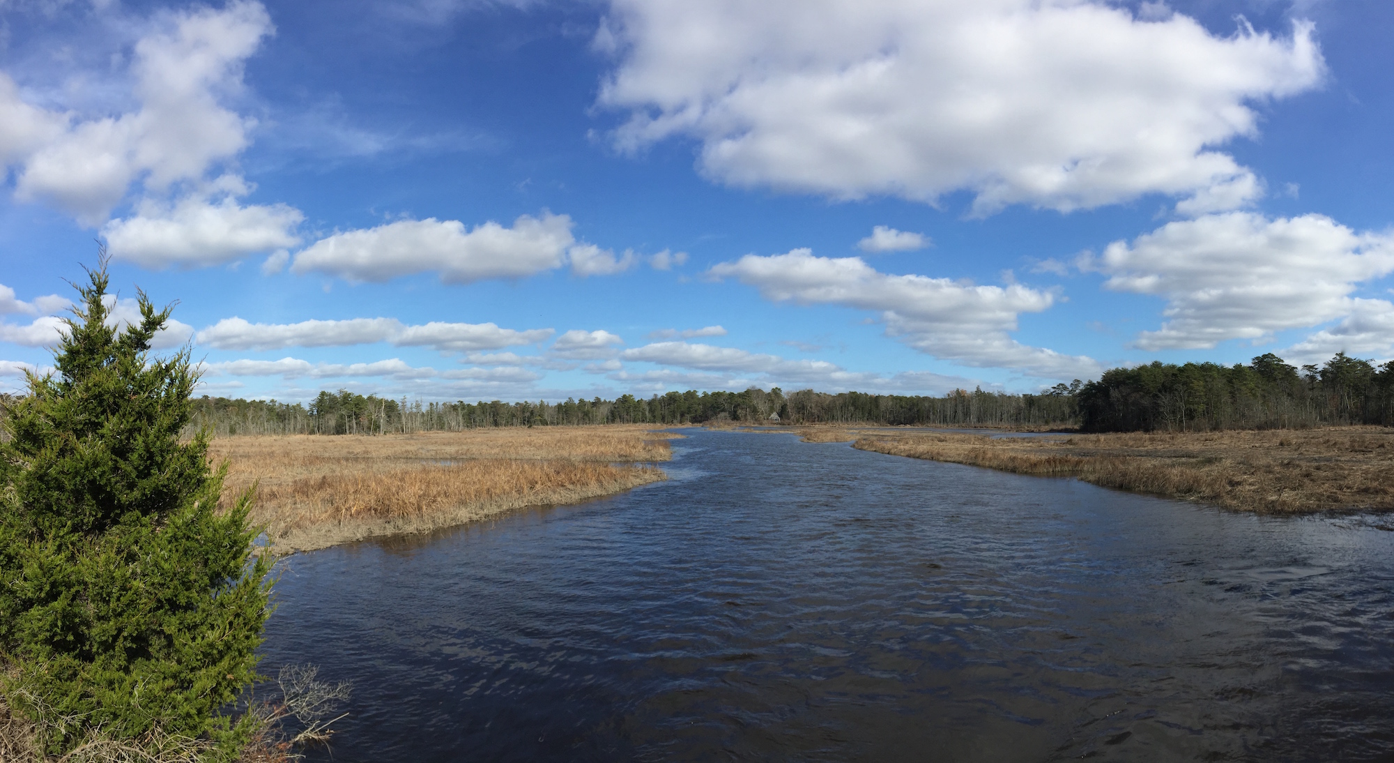 Manumuskin River - CU Maurice River