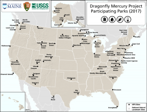 Dragonfly Sampling - CU Maurice River